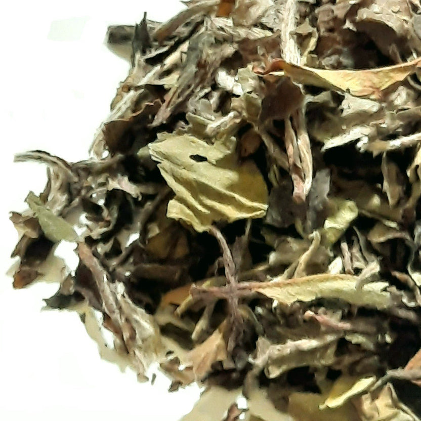 White Teas - White Peony - Bai Mu Dan - Loose Leaf Tea – THE SPICE ...